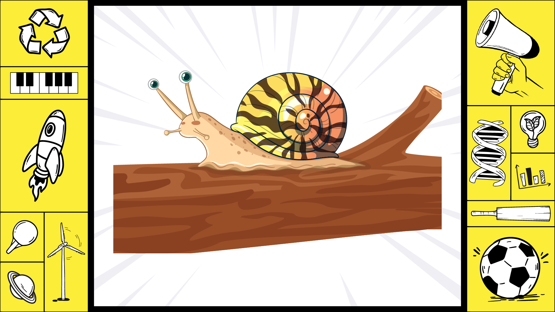 Researchers rush to save the world's most beautiful snails.
